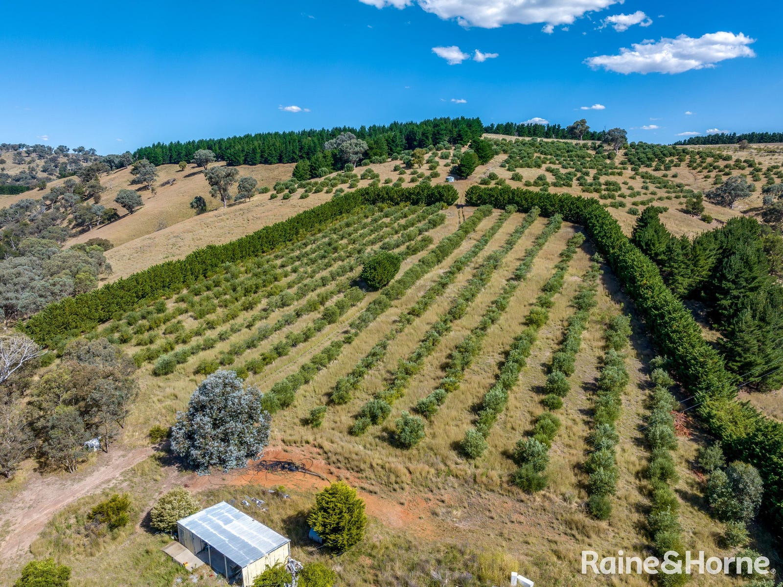 Farm For Sale in Crookwell, NSW 2583 | 1302 Fish River Road Narrawa Via