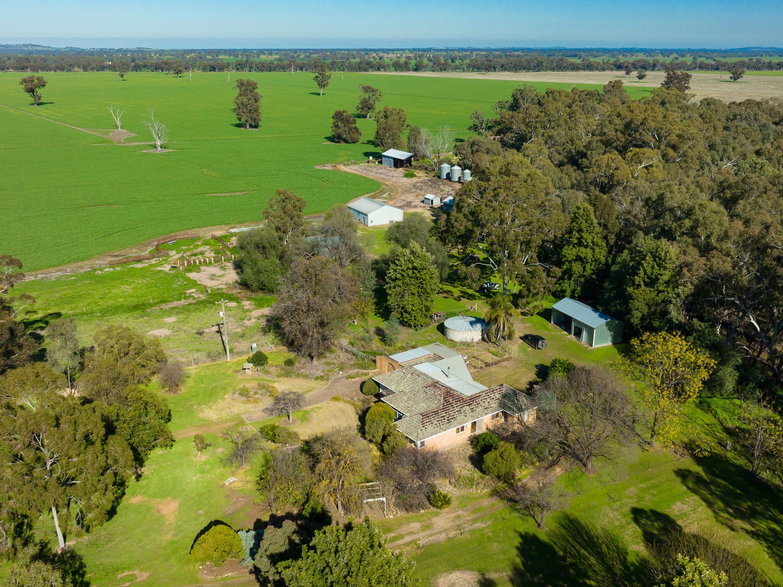 Farm For Sale in Rand, NSW 2642 | "ronavis", Trigg Road
