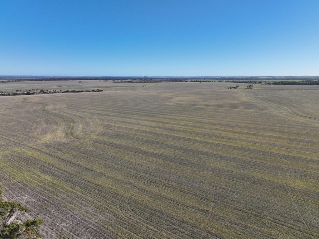 Farm For Sale in Pingrup, WA 6343 | 1345 Pingrup-lake Grace Road