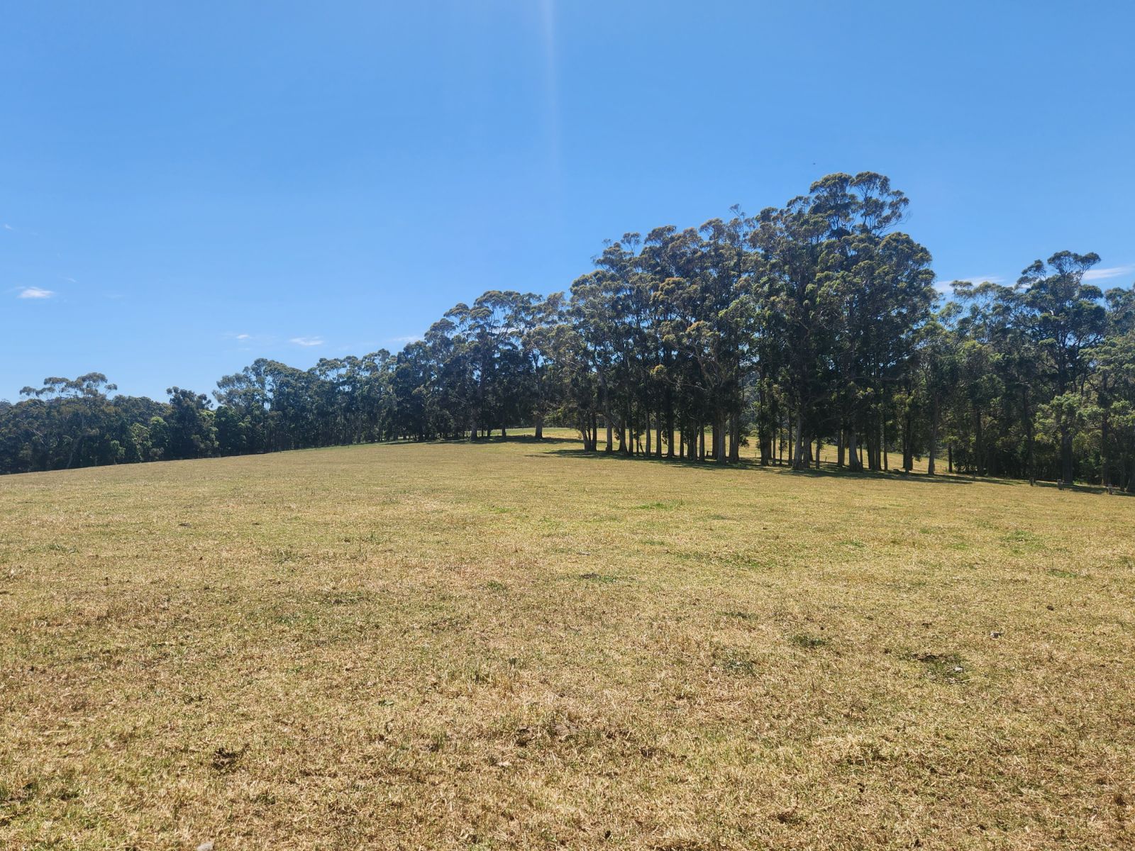 Farm For Sale in North Walpole, WA 6398 | 281 Bridge Road