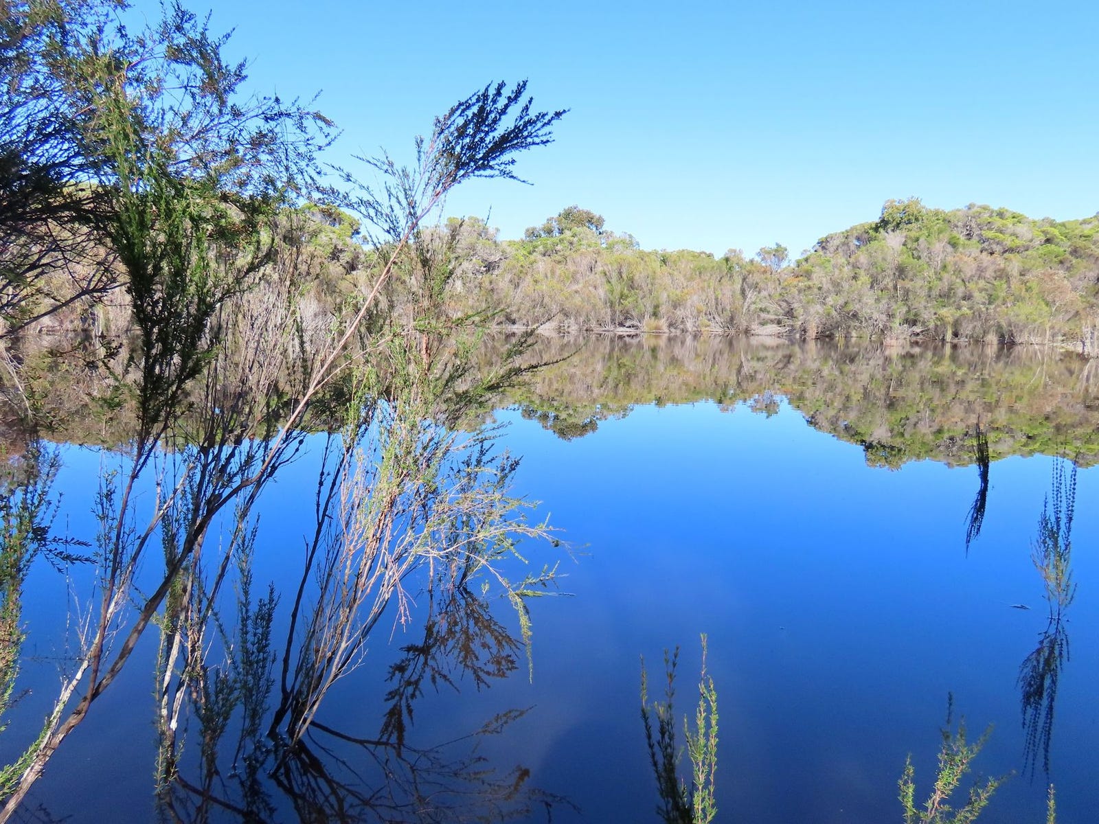 Farms For Sale in WA - View Current Farm Listings For Sale