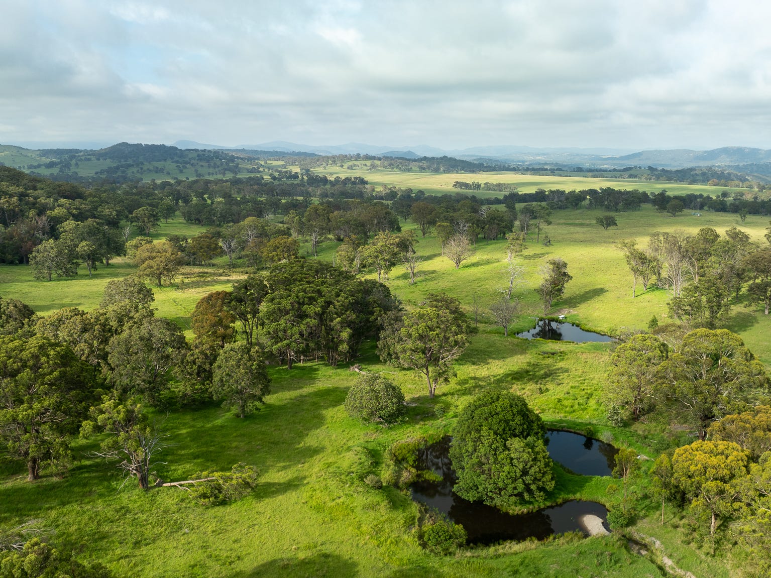 Farm For Sale in Tenterfield, NSW 2372 | 1259 Bald Rock Road