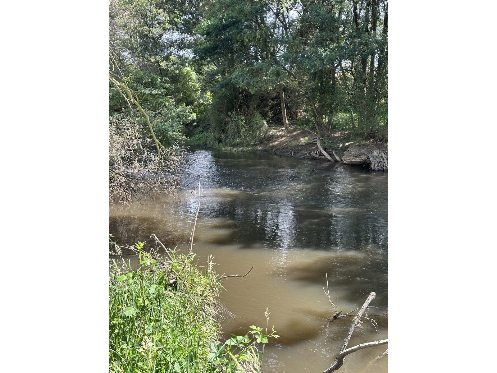 Farm For Sale in Taggerty, Vic 3714 | 175 Taggerty - Thornton Road