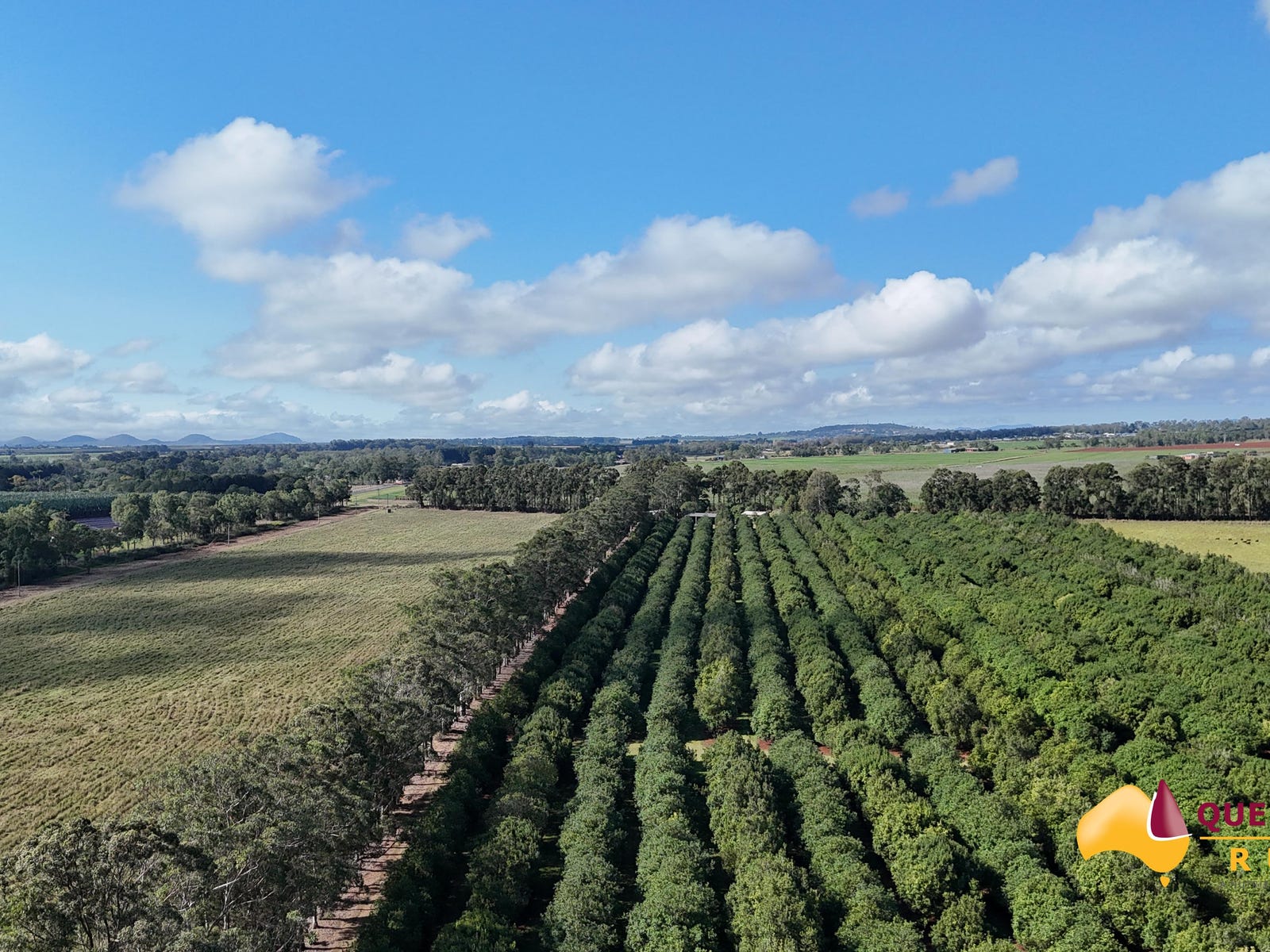 Farm For Sale in Tolga, Qld 4882