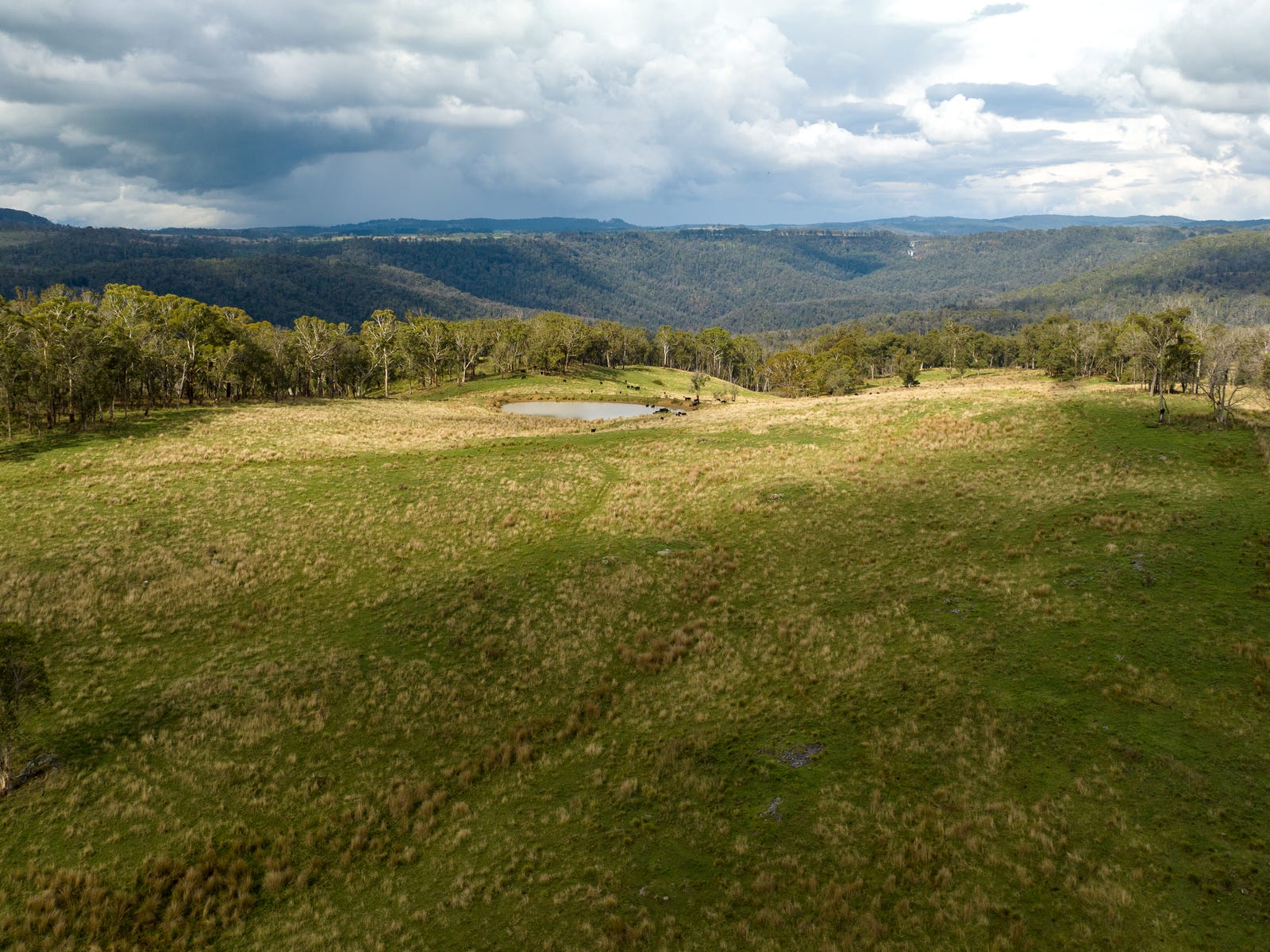 Farm For Sale in Ebor, NSW 2453 | 488 Guyra Road