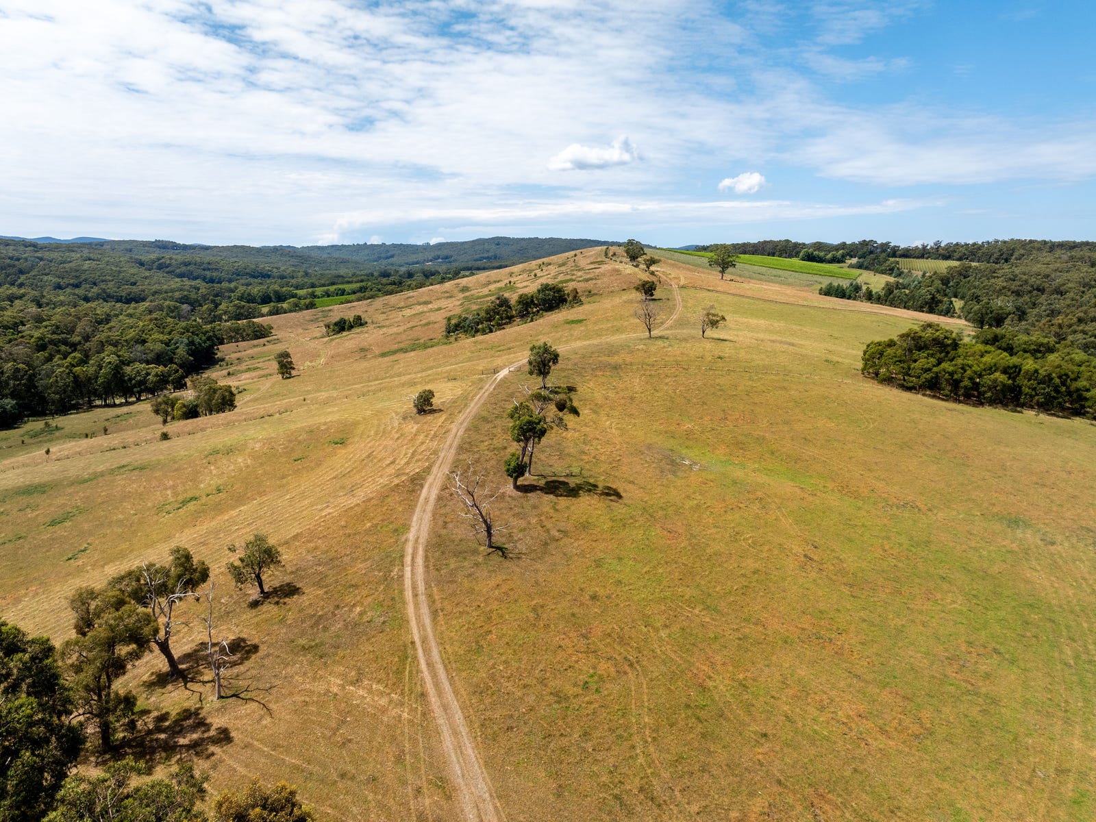 Farm For Sale in Yellingbo, Vic 3139 | 365 Beenak Road