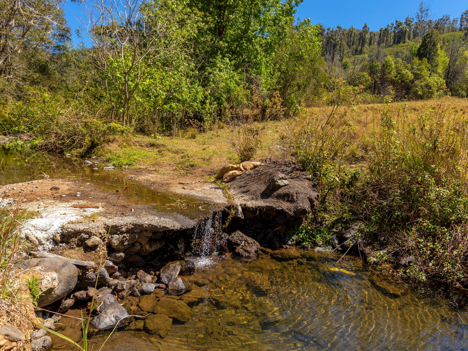 Farm For Sale in Caparra, NSW 2429 | 148-150 Rowley Forest Road