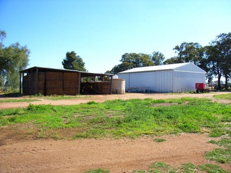 Farm For Sale in Young, NSW 2594 | Fairlight 110 Barries Lane Thuddungra