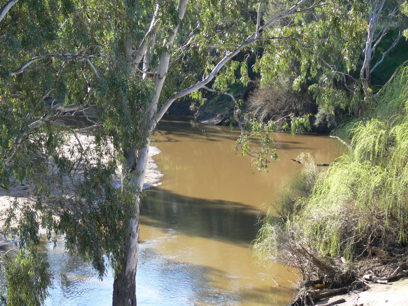 Farm For Sale in Billimari, NSW 2804 | 413 Merriganowry Road