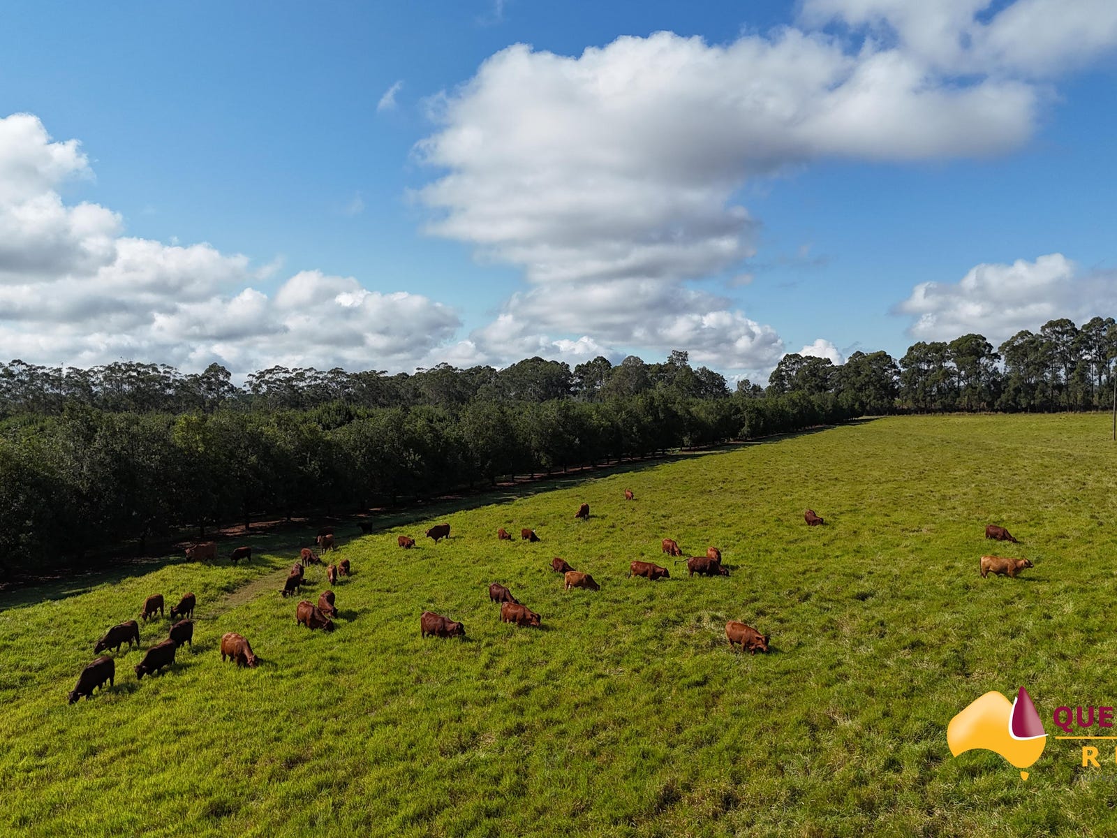 Farm For Sale in Tolga, Qld 4882