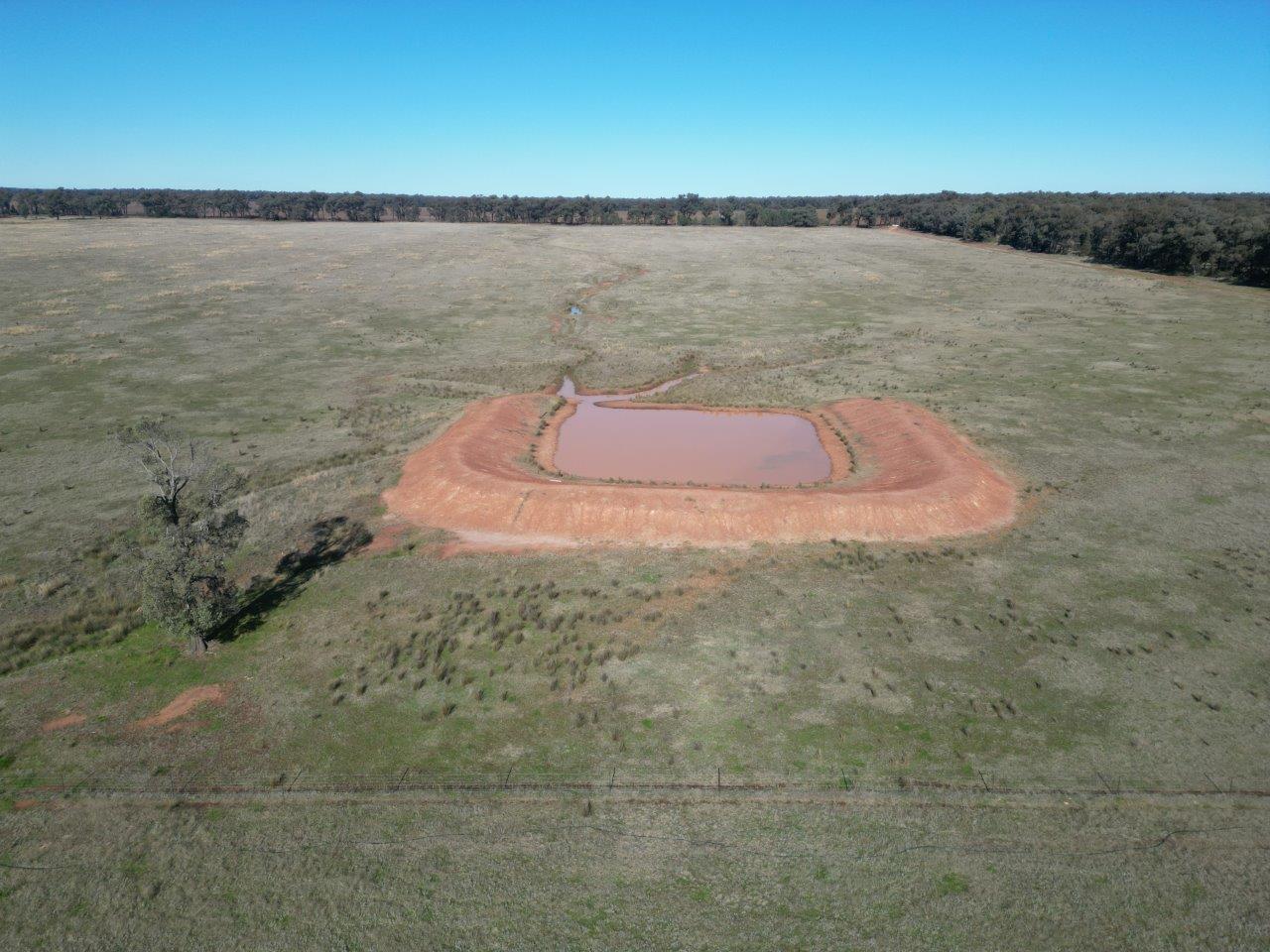 Farm For Sale in Temora, NSW 2666 | 'wildwood' 977 Schmidts Road
