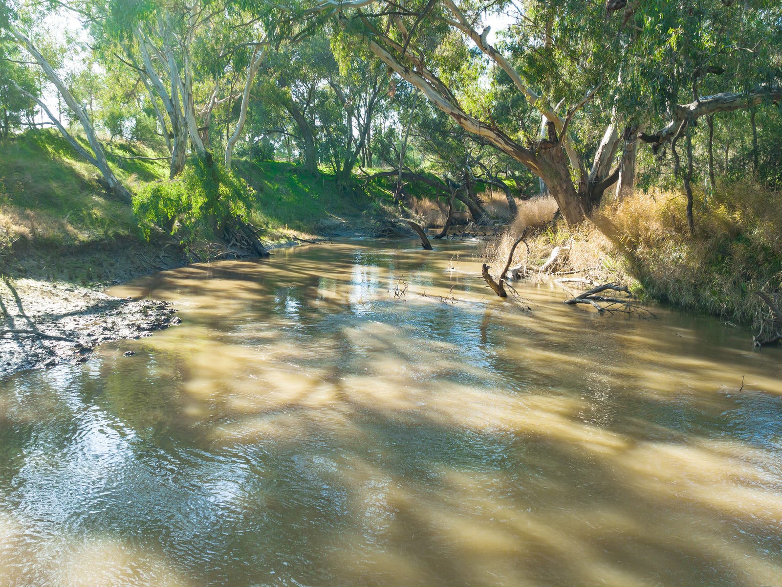 Farm For Sale in Rand, NSW 2642 | "ronavis", Trigg Road