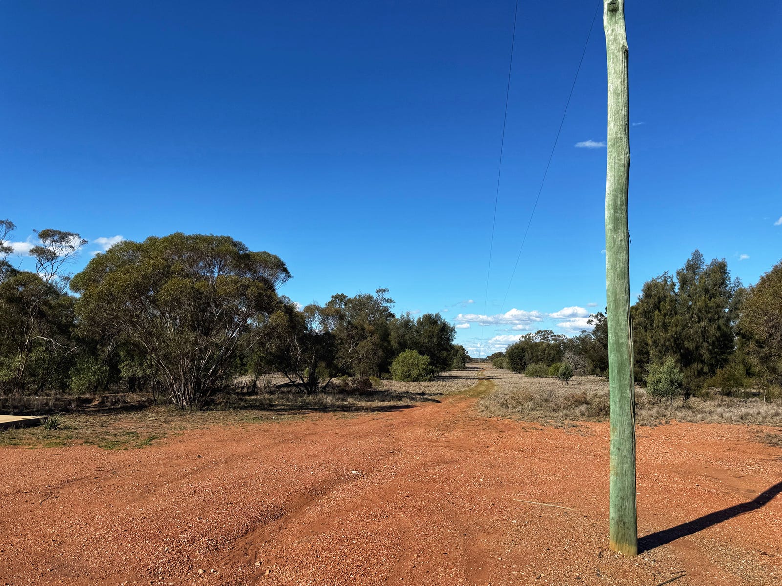 Farm For Sale in Tottenham, NSW 2873