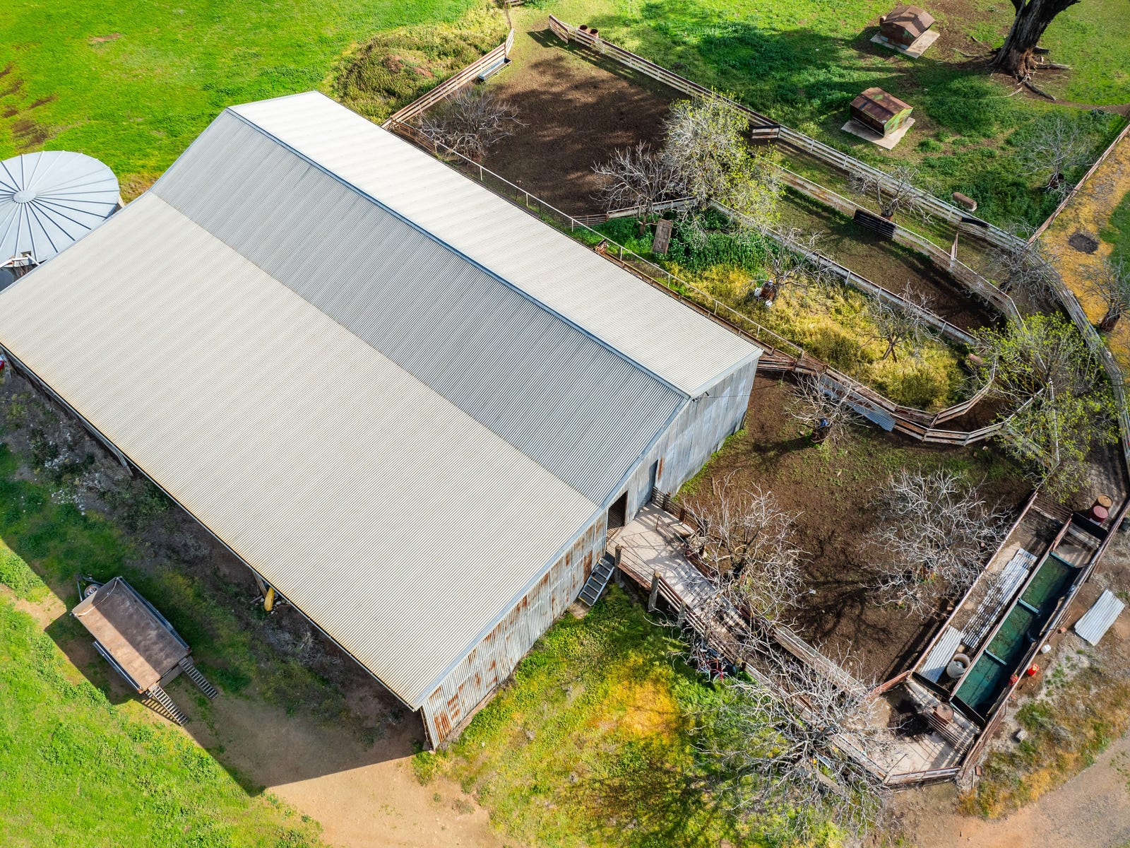 Farm For Sale in Coreen, NSW 2646 | 185 Coreen School Rd