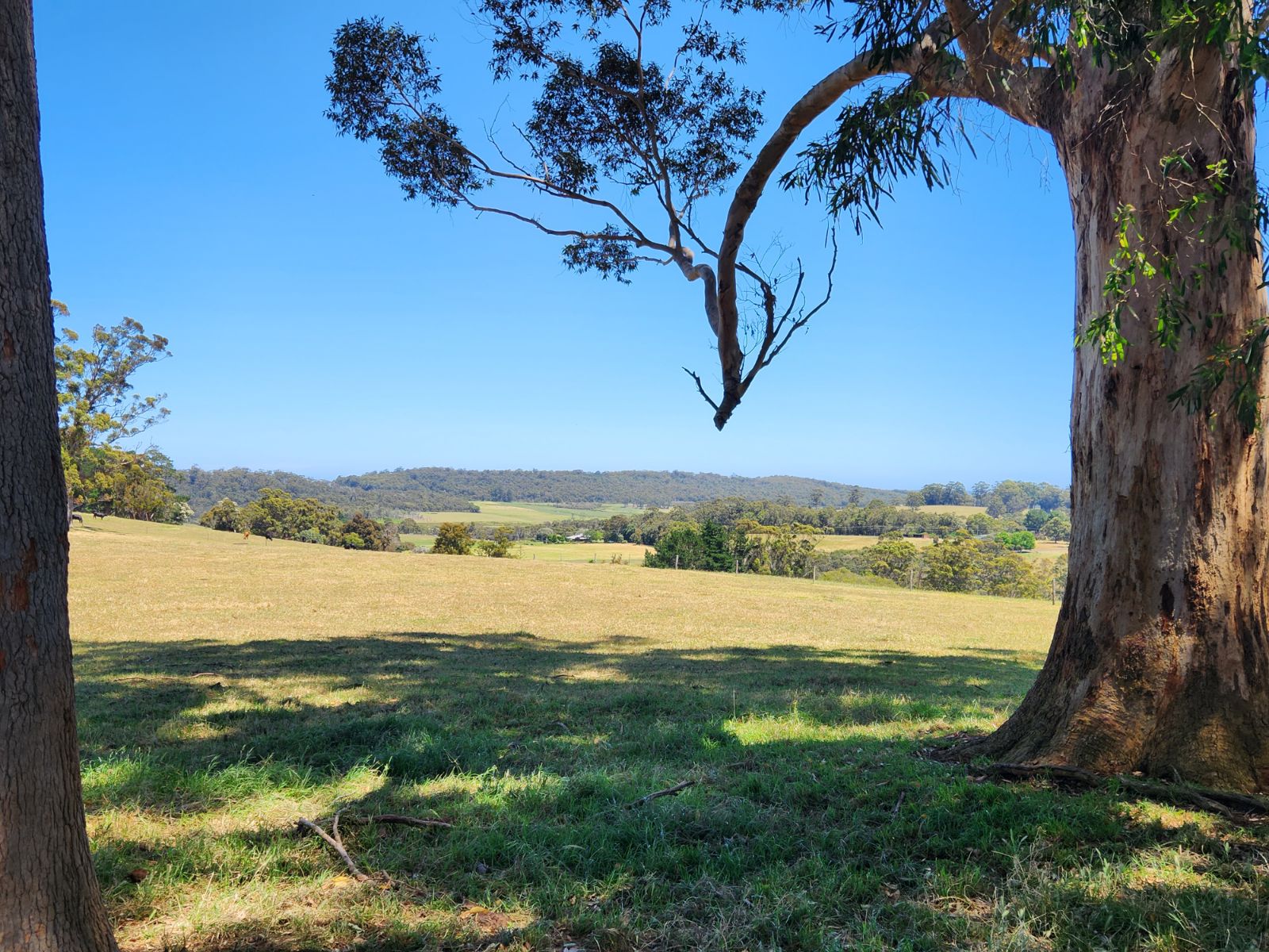 Farm For Sale in North Walpole, WA 6398 | 281 Bridge Road