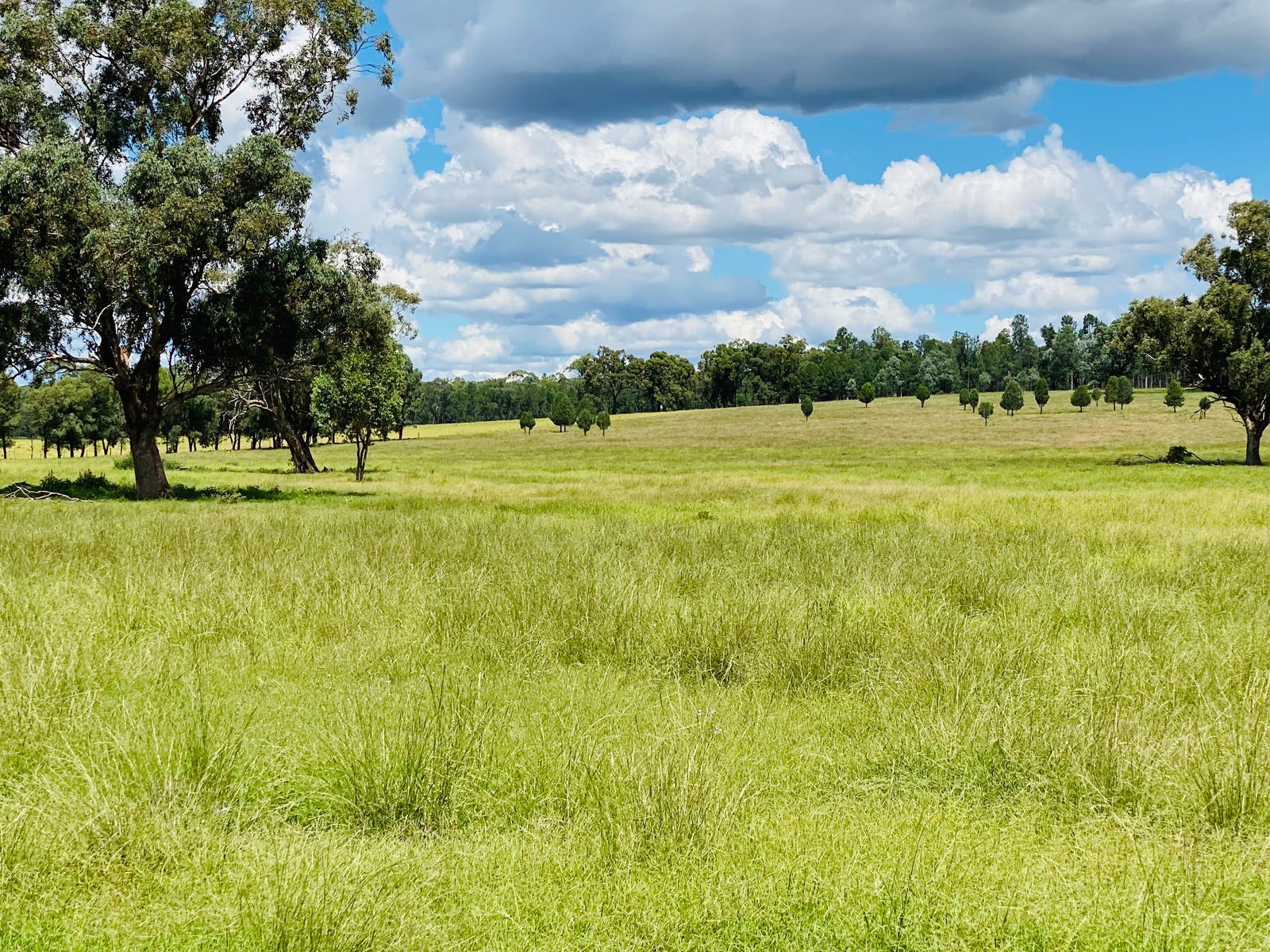 Farm For Sale in Caroona, NSW 2343 | Doonavale Walhallow Road