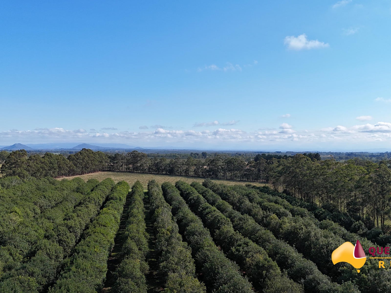 Farm For Sale in Tolga, Qld 4882