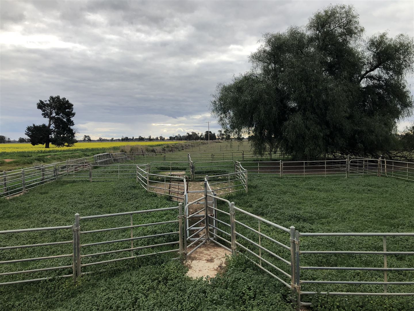 Farm For Sale in Blighty, NSW 2713 | . Reatta