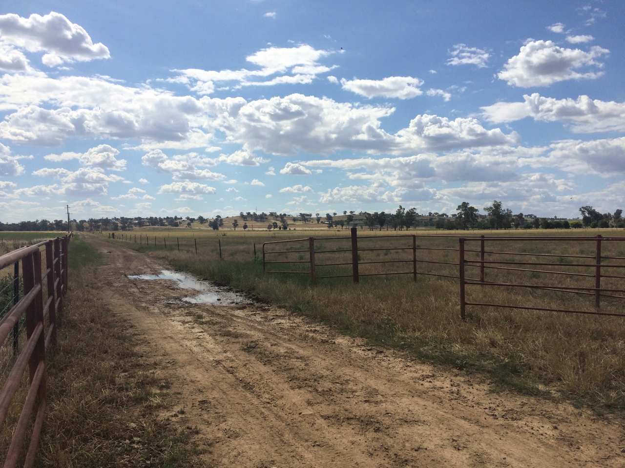 Farm For Sale in Billimari, NSW 2804 | 'bayview' Windowrie Road