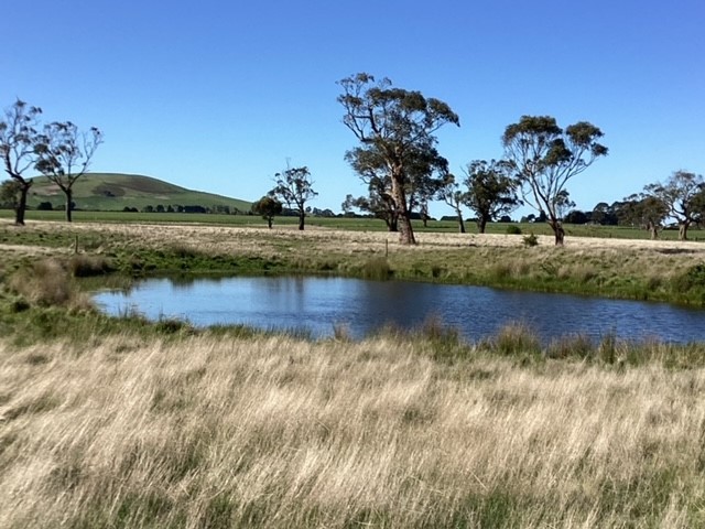 Farm For Sale in Springmount, Vic 3364 | 250 Sawmill Road