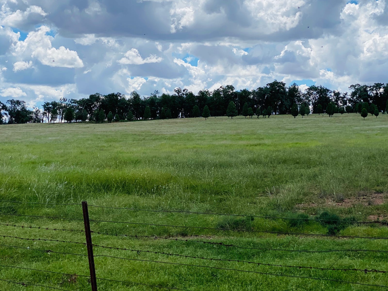 Farm For Sale in Caroona, NSW 2343 | Doonavale Walhallow Road