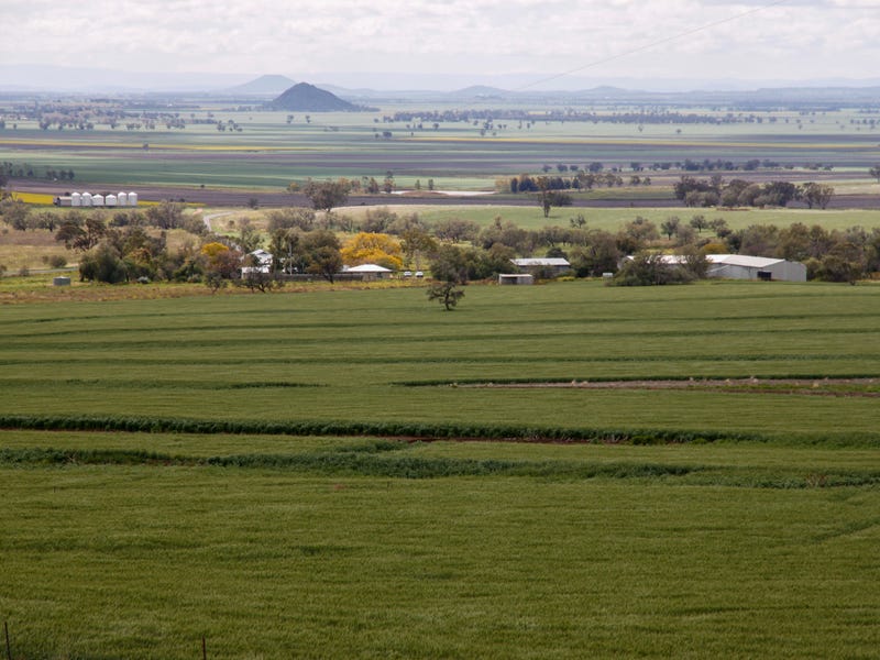 Farm For Sale in Mullaley, NSW 2379