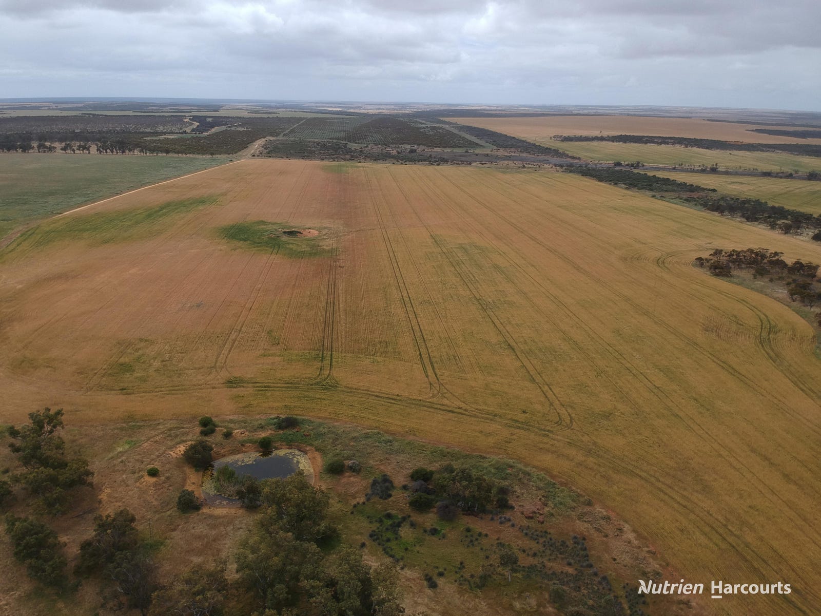 Farm For Sale in West Binnu, WA 6532 | 101 West Binnu Road