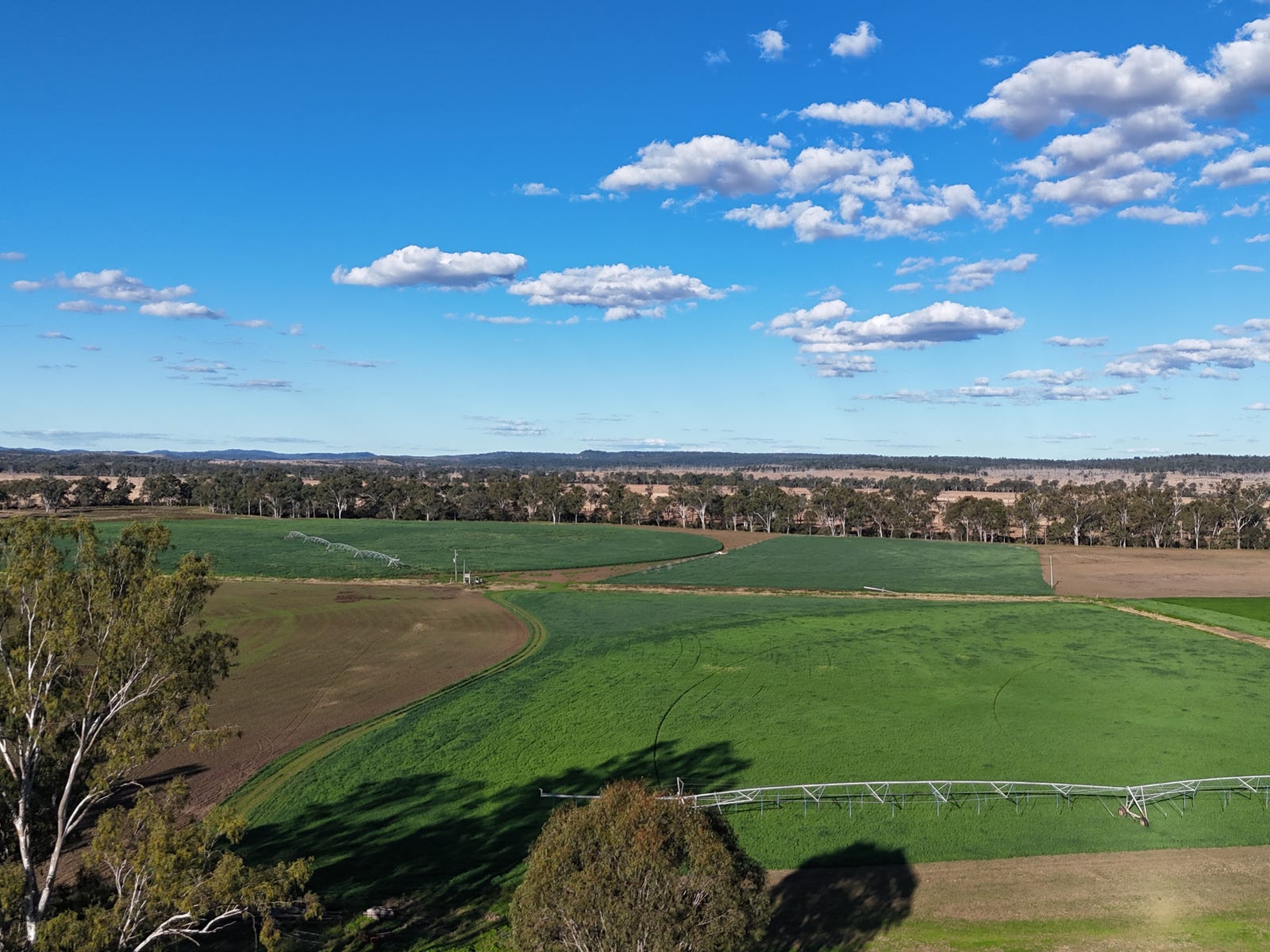 Farm For Sale in Monto, Qld 4630 | 27227 Burnett Highway
