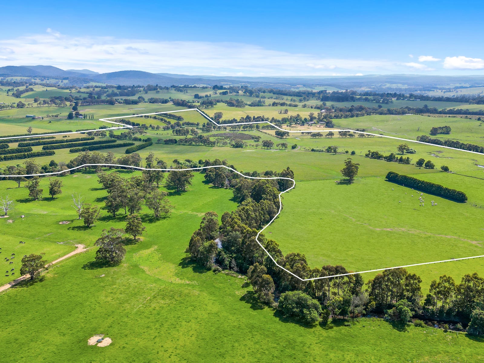 Farm For Sale in Tanjil South, Vic 3825 | 90 Anstey Road