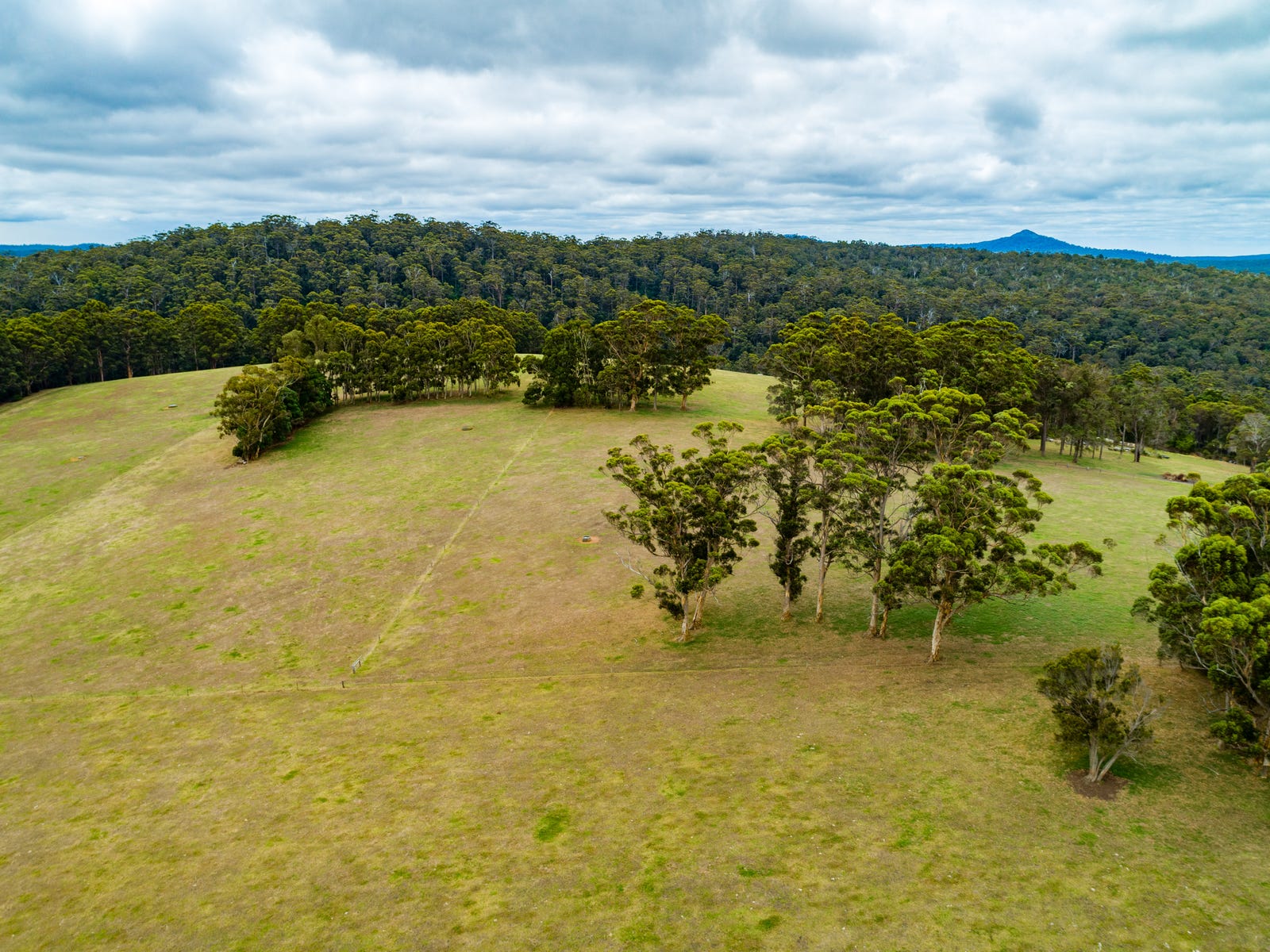 Farm For Sale in North Walpole, WA 6398 | 281 Bridge Road