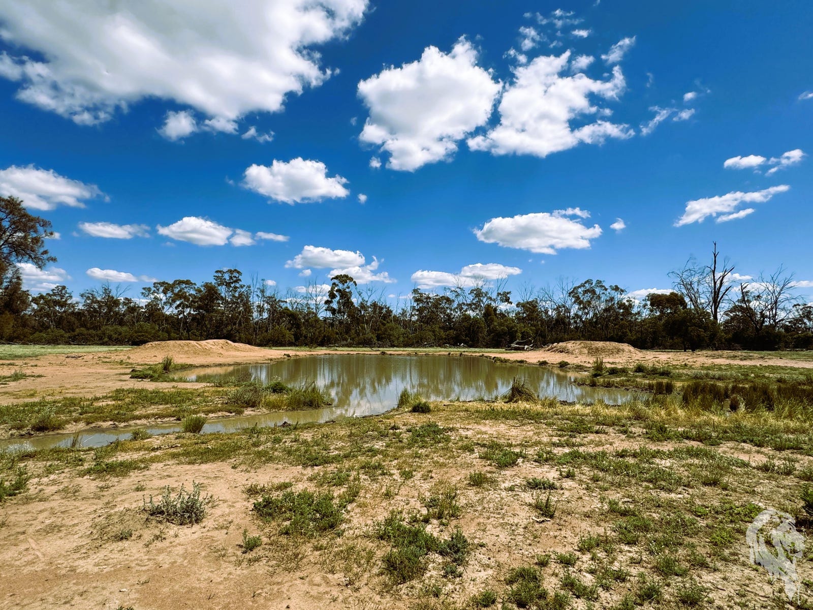 Farm For Sale in Wee Waa, NSW 2388 | 1857 Stumpy Lane