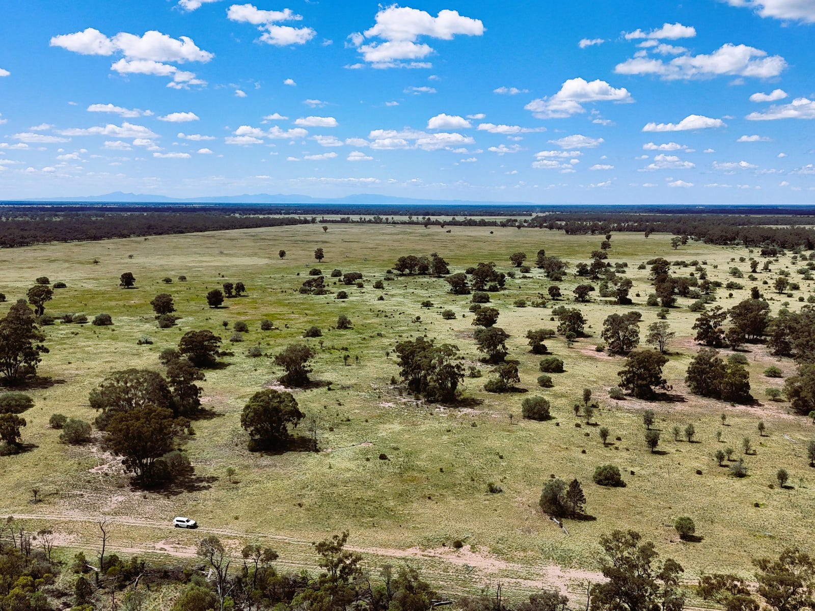 Farm For Sale in Wee Waa, NSW 2388 | 1857 Stumpy Lane