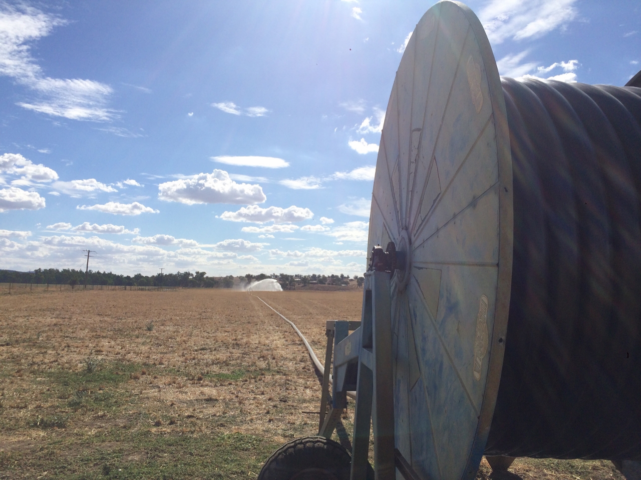 Farm For Sale in Billimari, NSW 2804 | 'bayview' Windowrie Road