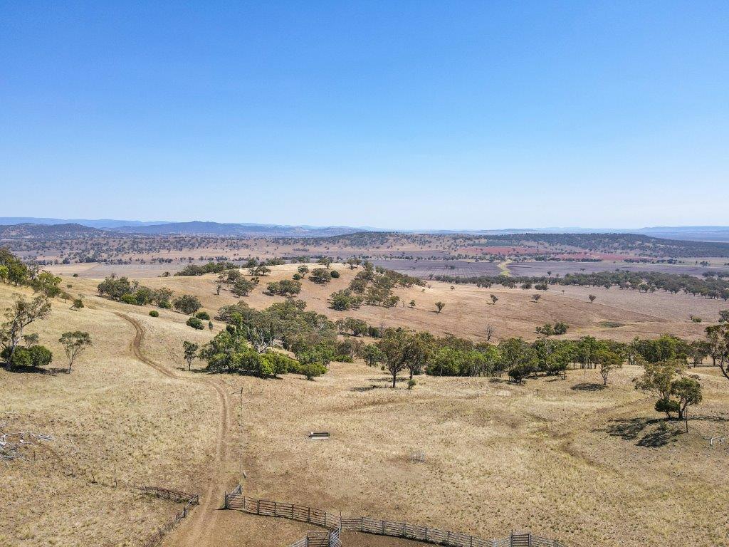 Farm For Sale in Willow Tree, NSW 2339 | 171 Tourles Road