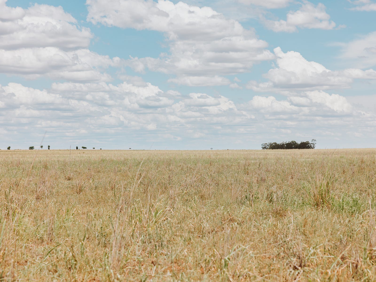 Farm For Sale in Tarawera, Qld 4494 | "bullamakinka" 781 Springmount Road