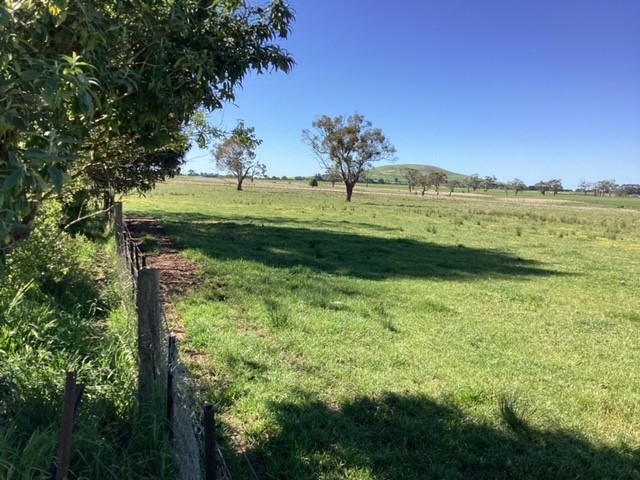 Farm For Sale in Springmount, Vic 3364 | 250 Sawmill Road
