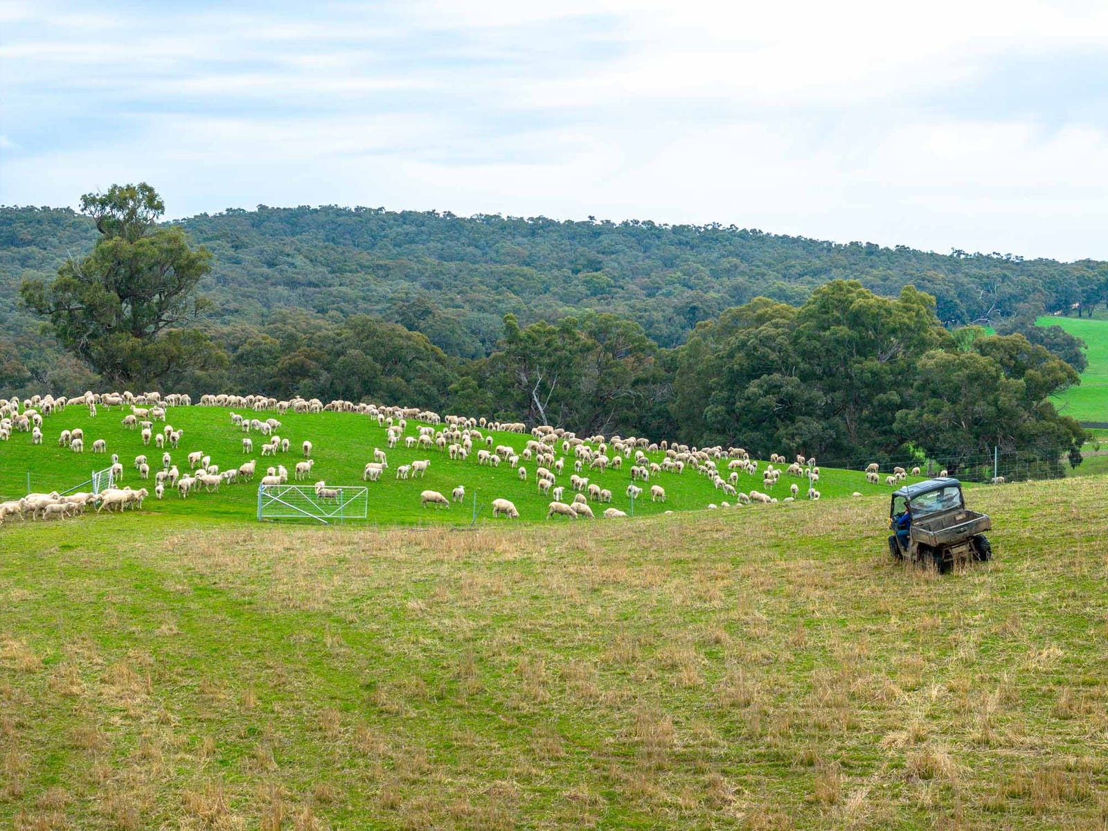 Farm For Sale in Barfold, Vic 3444 | 1469 Heathcote-kyneton Rd