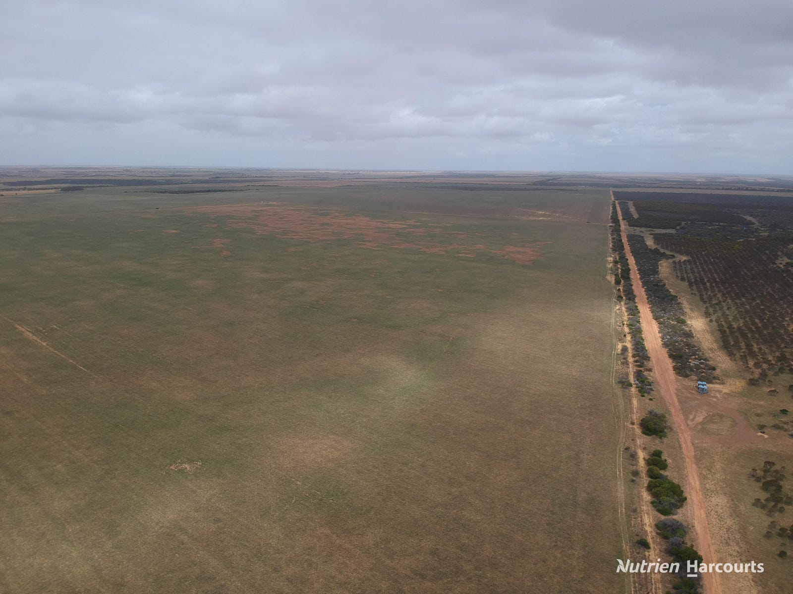 Farm For Sale in West Binnu, WA 6532 | 101 West Binnu Road