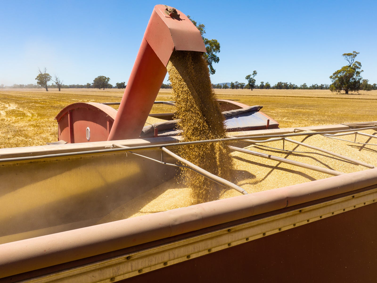 Farm For Sale in Rand, NSW 2642 | 1714 Bynedale Road