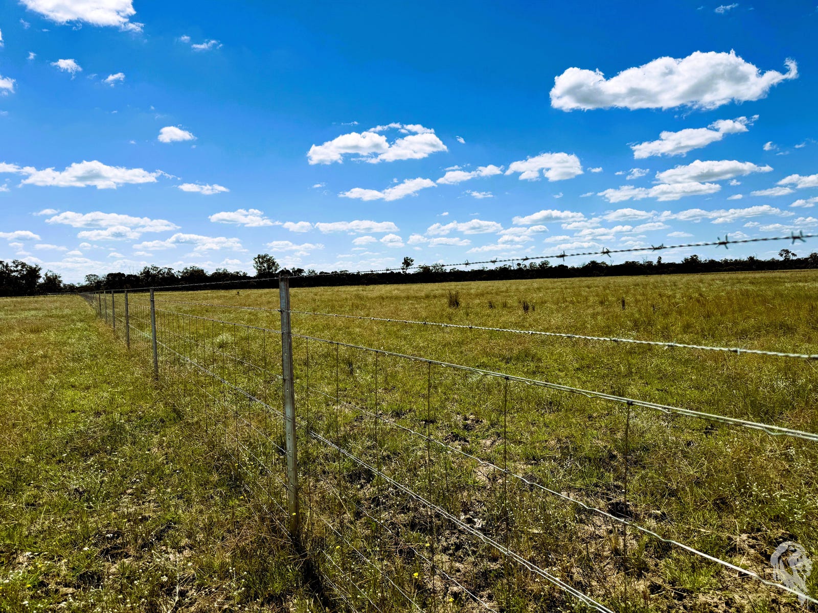 Farm For Sale in Wee Waa, NSW 2388 | 1857 Stumpy Lane