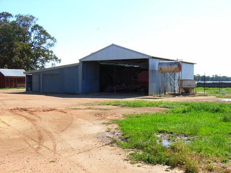 Farm For Sale in Young, NSW 2594 | Fairlight 110 Barries Lane Thuddungra