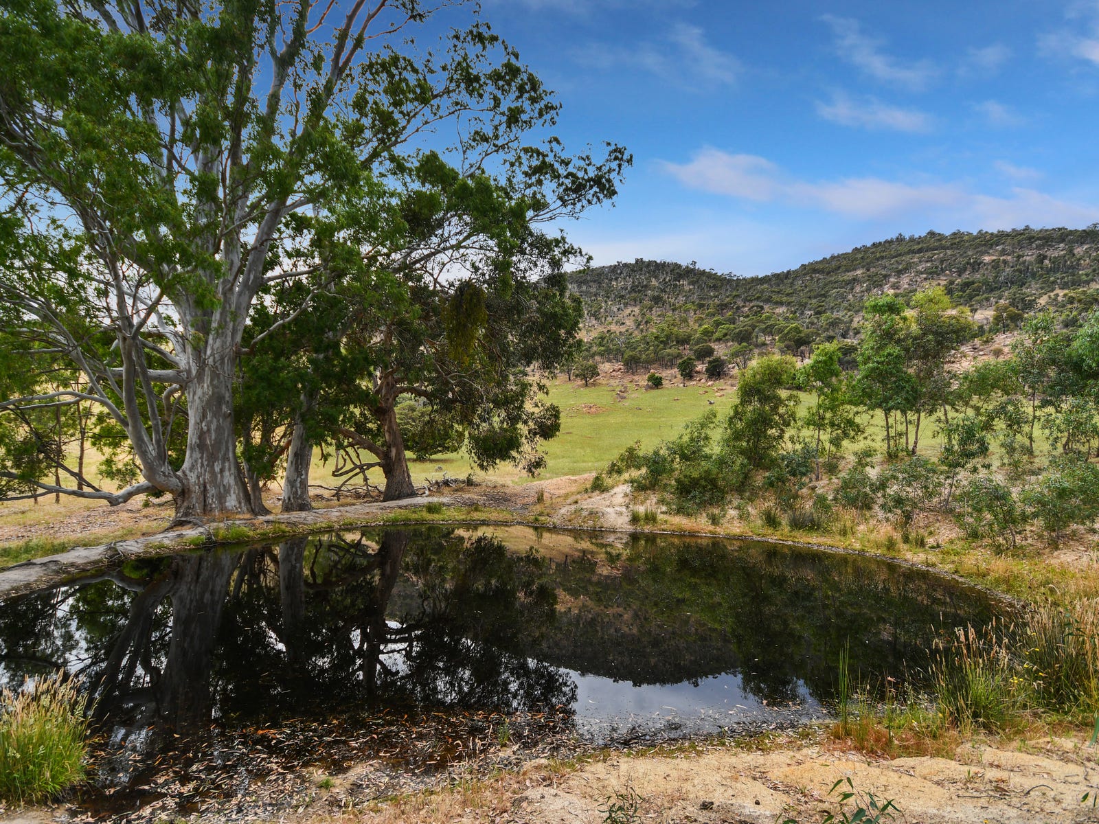 Farm For Sale in Elmhurst, Vic 3469