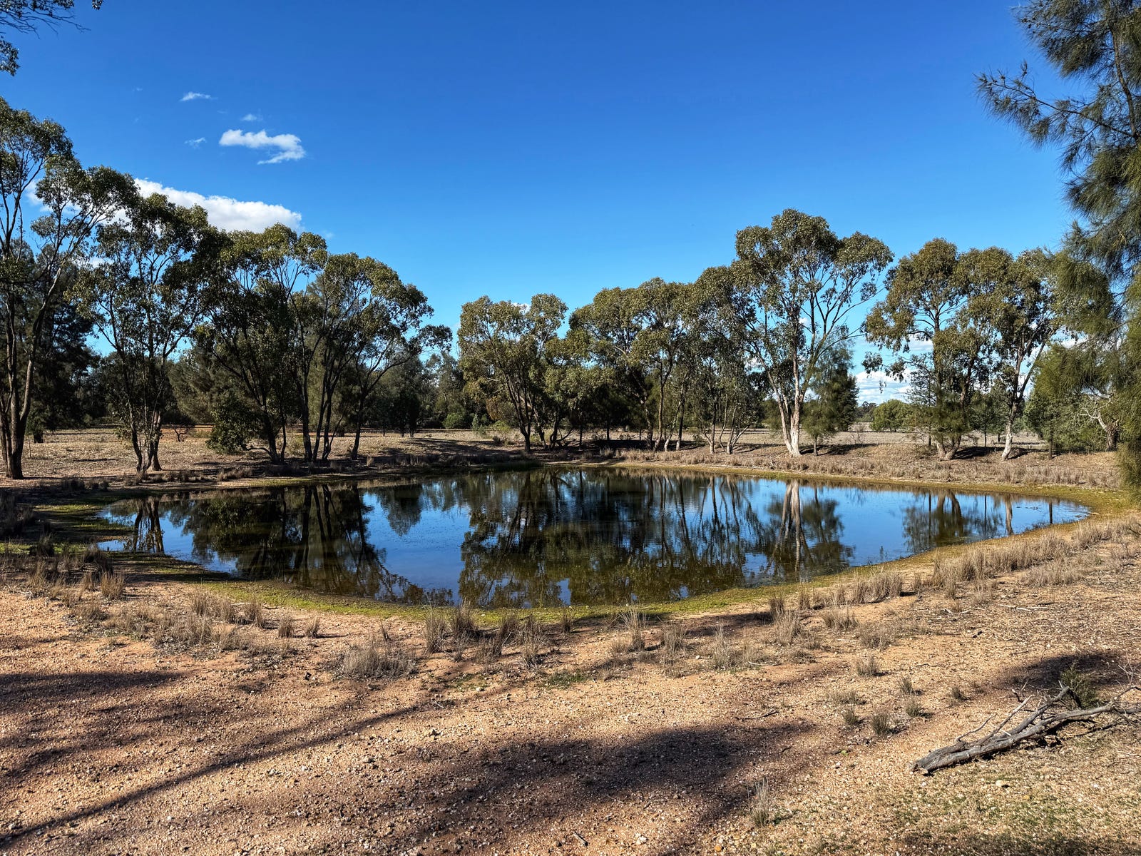 Farm For Sale in Tottenham, NSW 2873