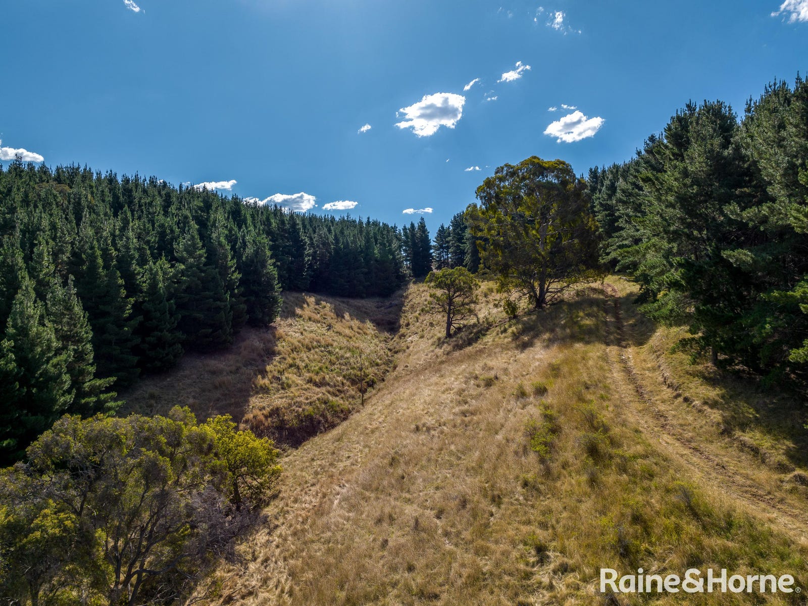 Farm For Sale in Crookwell, NSW 2583 | 1302 Fish River Road Narrawa Via