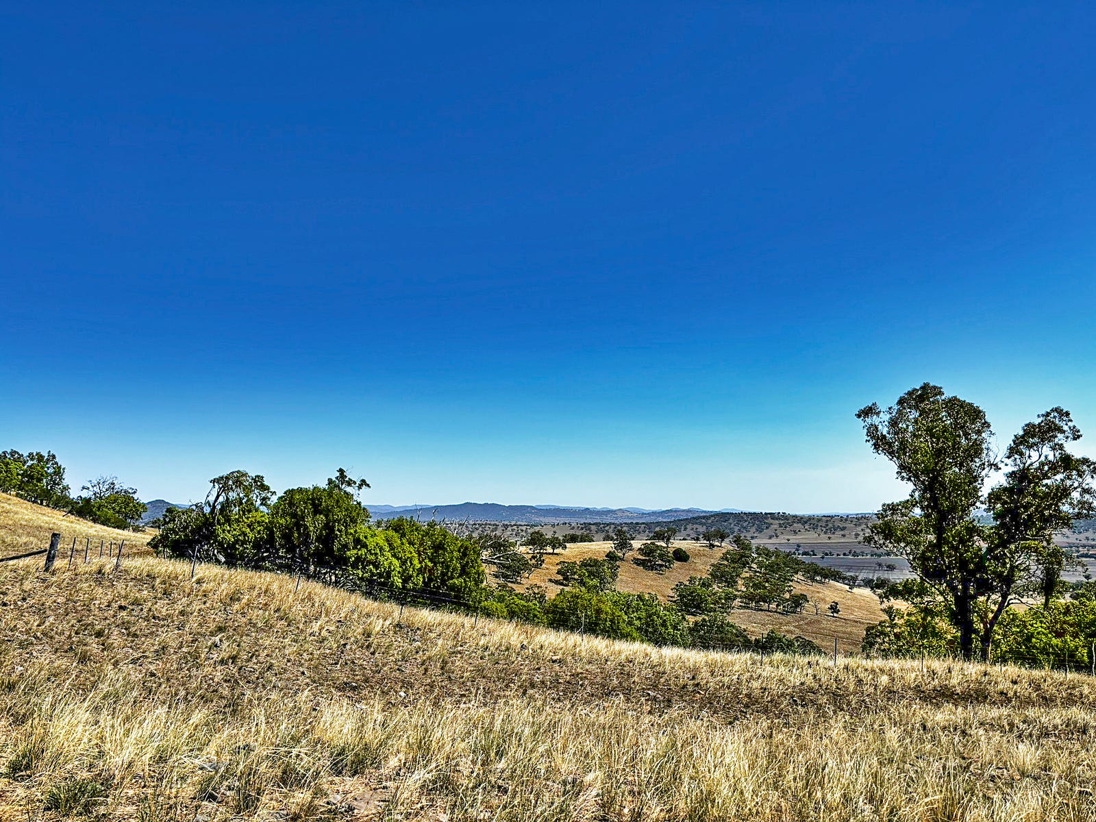 Farm For Sale in Willow Tree, NSW 2339 | 171 Tourles Road