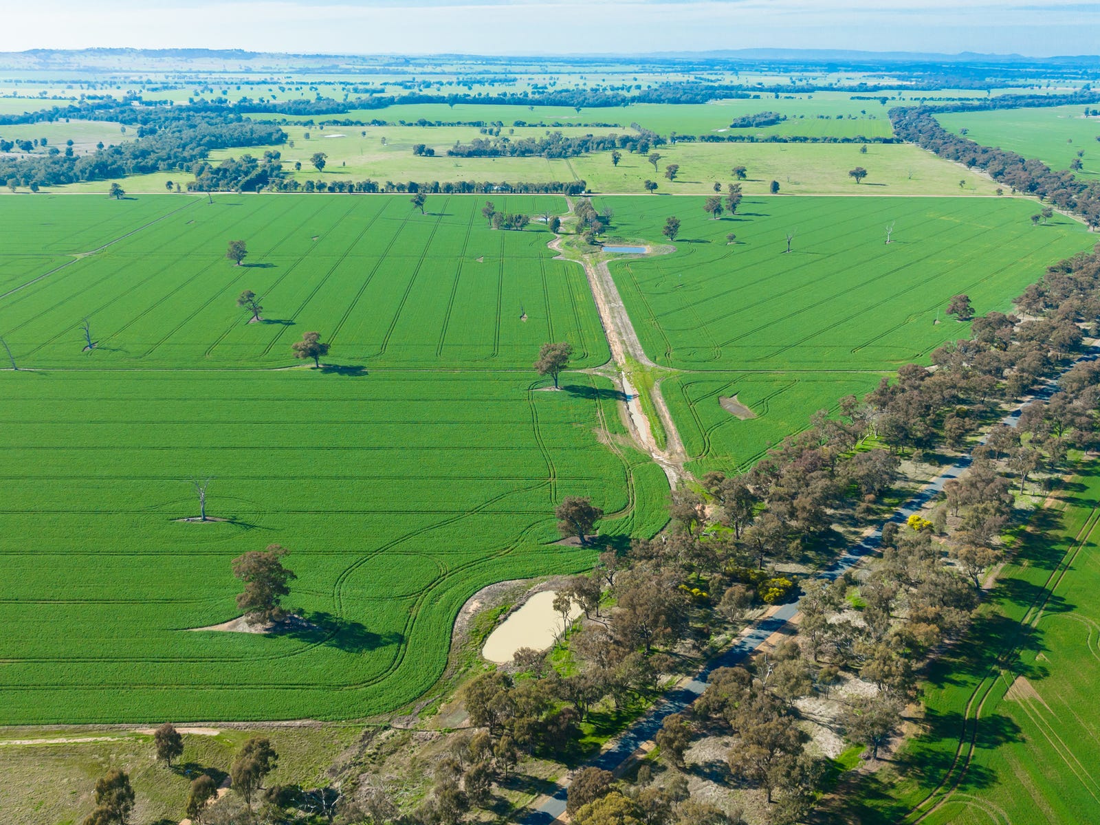 Farm For Sale in Rand, NSW 2642 | "ronavis", Trigg Road