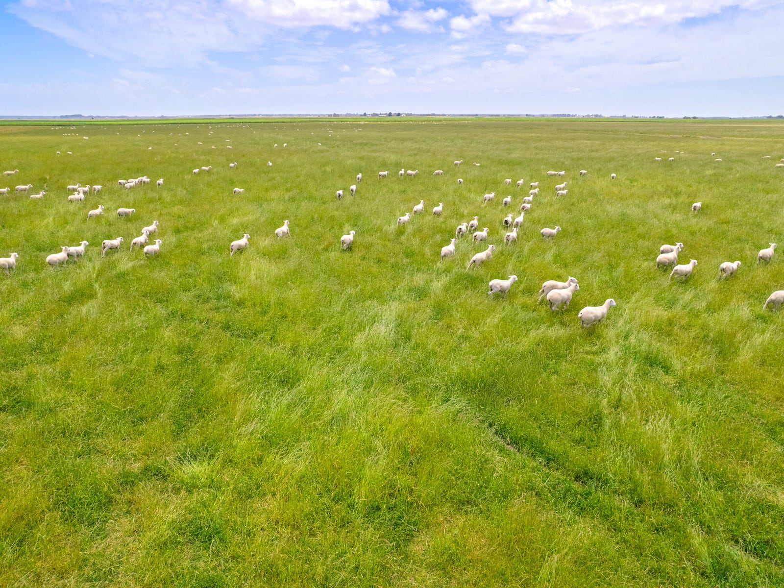 Farms For Sale in SA - View Current Farm Listings For Sale