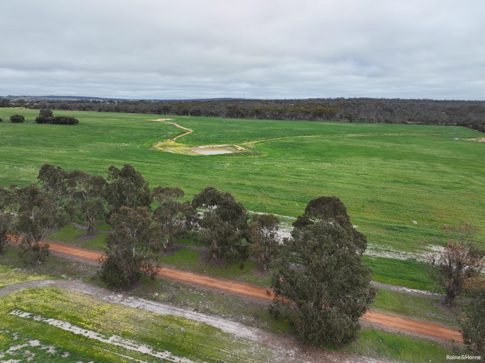 Farm For Sale in Highbury, WA 6313 | 124 Highbury East Road