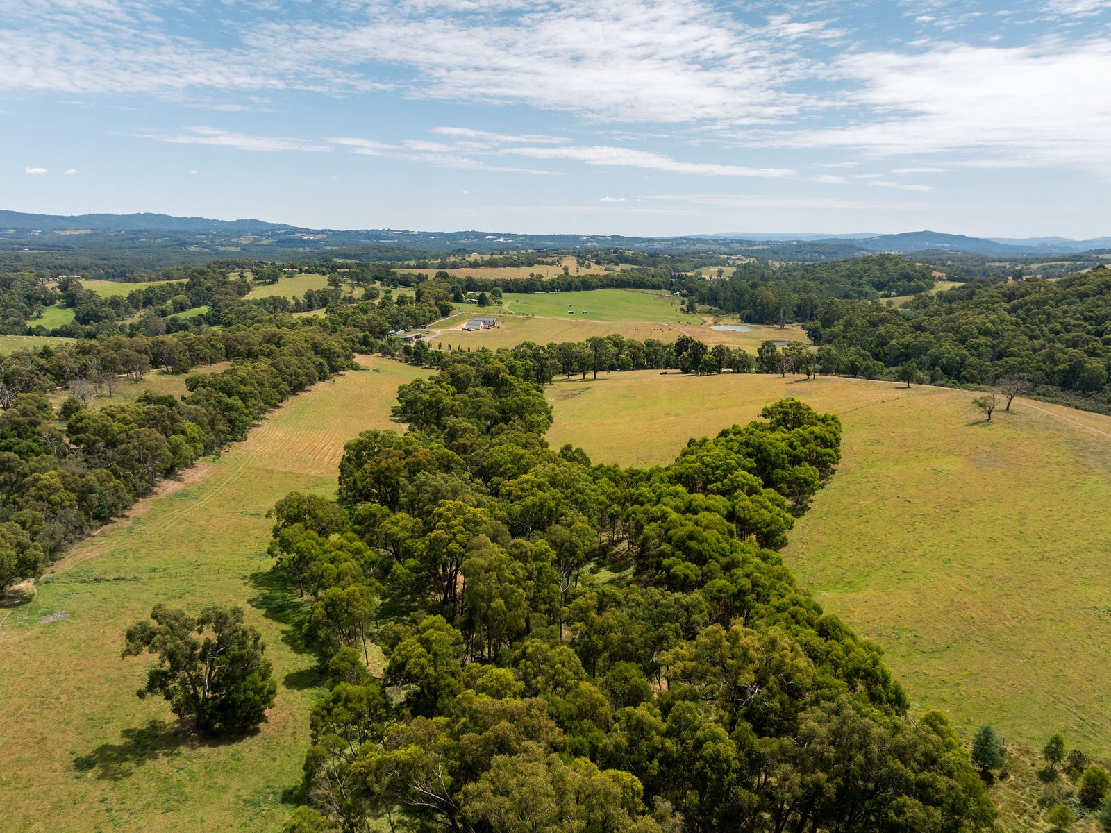Farm For Sale in Yellingbo, Vic 3139 | 365 Beenak Road