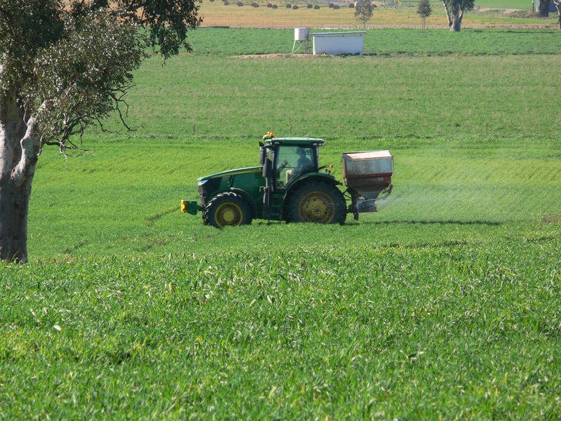 Farm For Sale in Billimari, NSW 2804 | 413 Merriganowry Road